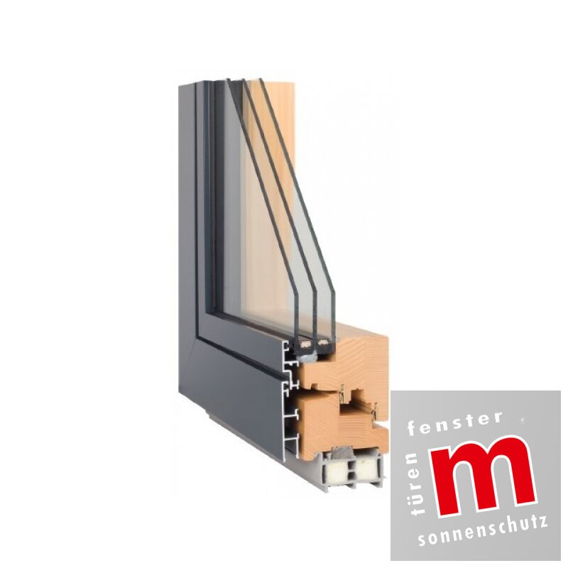 MU2 Passiv ALU Flat - Muralter Fentser Türen Sonnenschutz